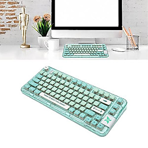 Acogedor Bluetooth / 2.4Ghz Wireless/Type - C Wired Mechanical Gaming Keyboard, RGB Hot - Swappable, Gasket Structure, 80 Keys, Transparent Case, 2 Layers Keycaps (Green)