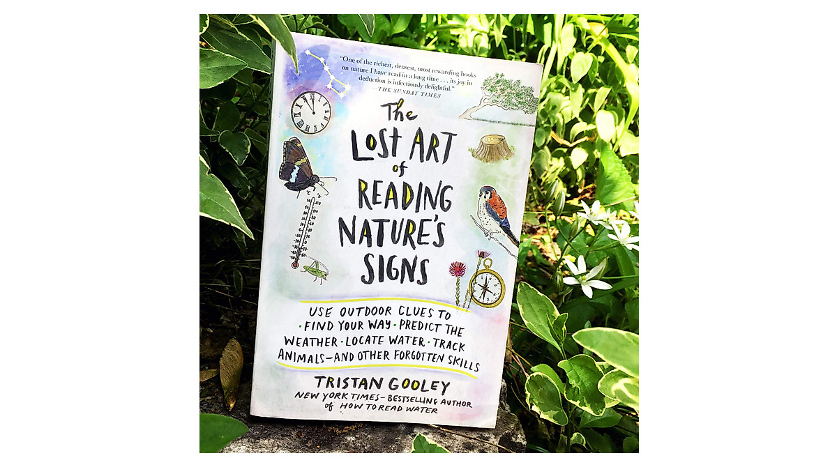 Discover Nature’s Secrets with The Lost Art of Reading Signs