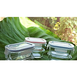 GENICOOK Borosilicate Glass Small Baby-Size Meal and Food Storage Containers, Rectangular Shape - 6 pc Set (3 Containers - 3 Matching Lids)