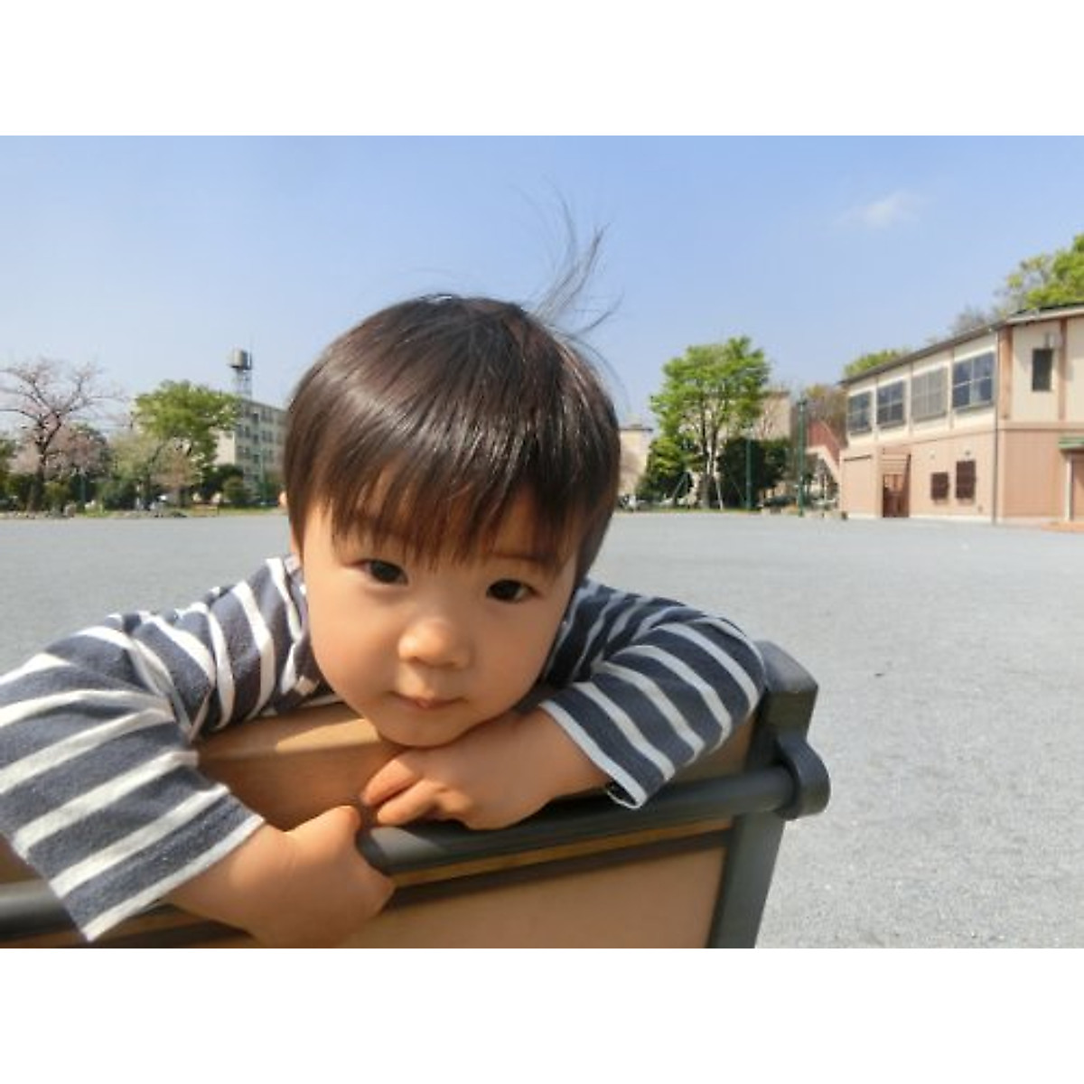 Casio High Speed Exilim Ex-ZR700 Digital Camera Brown EX-ZR700BN - International Version (No Warranty)