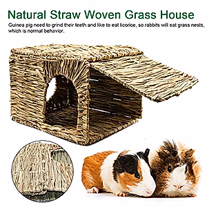 BWOGUE Large Grass House for Guinea Pigs,Hand Woven Straw Hut Foldable Small Animal Play Hideaway Bed with Double Openings Playhouse for Bunny Guinea Pig Chinchilla Ferret