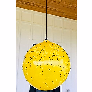 Gnat Ball - 4 Pack Replacement - Gnats, House Fly, No-See-Um, aphids whiteflies, and Love Bug Trap