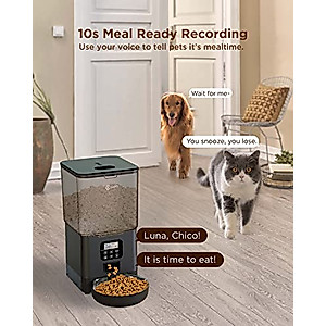 Ciays Automatic Cat Feeders, 5.6L Cat Food Dispenser Up to 20 Portions Control 4 Meals Per Day, Pet Dry Food Dispenser for Small Medium Cats Dogs, Dual Power Supply & Voice Recorder, Black, PAF-A06