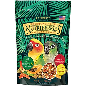 LAFEBER'S Tropical Fruit Nutri-Berries Conure Food, Made with Non-GMO and Human-Grade Ingredients, for Conures (Tropical Fruit 10 oz)