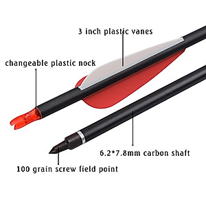 Archery Carbon Arrow Hunting Target Practice Arrows 30 Inch with Removable Tips for Compound & Recurve Bow 500 Spine 12PCS