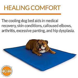 K&H Pet Products Cooler Dog Combo Cool Bed III Medium and Freezable Coolin' Bowl 96 Ounce