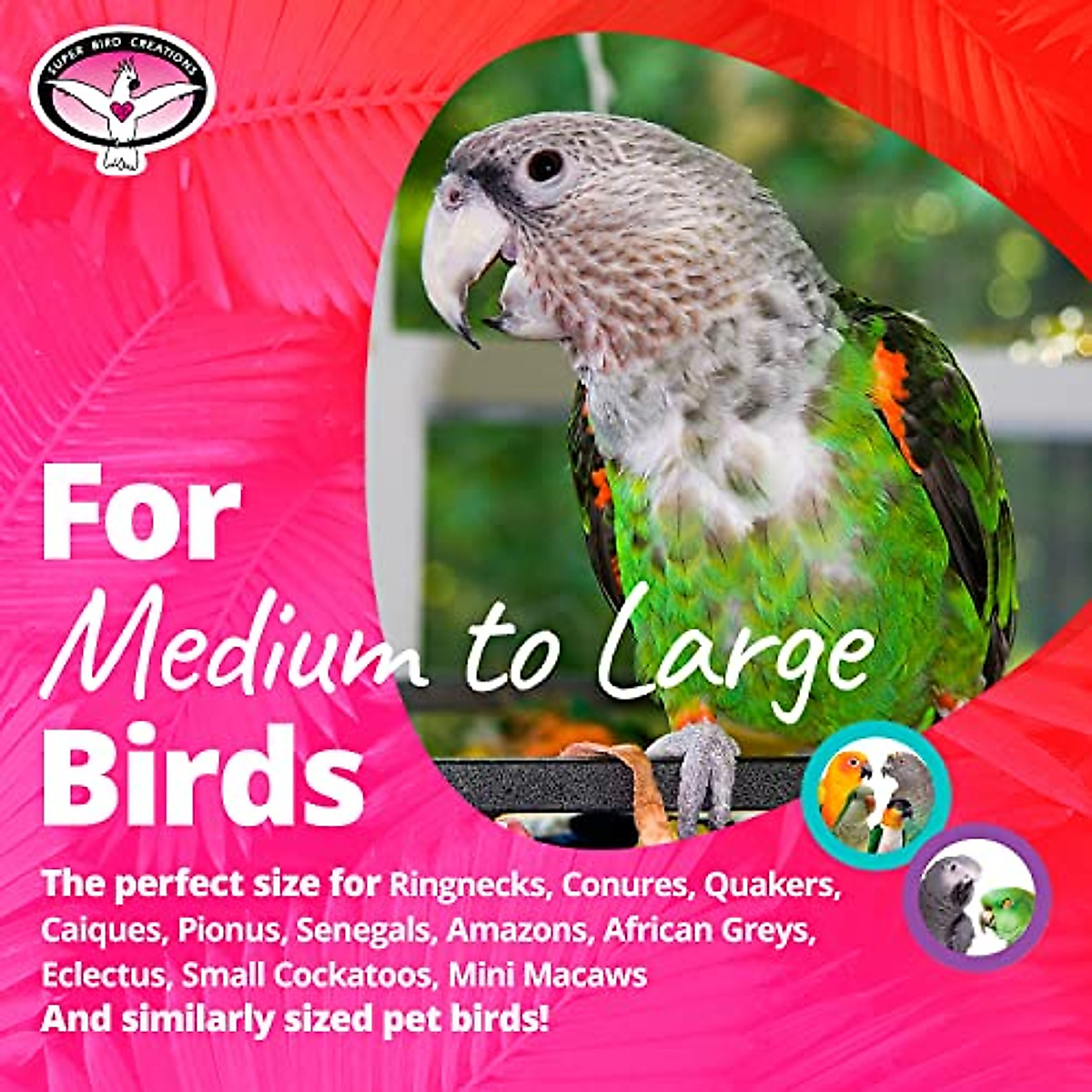 Super Bird Creations SB628 Tape Dispenser Bird Toy, Large Bird SIze, 14" x 5"