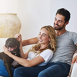 Pet Stroller 4 Wheels Posh Folding Waterproof Portable Travel Cat Dog Stroller with Cup Holder,Blue