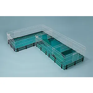 Guinea Habitat Plus Guinea Pig Cage by MidWest w/ Top Panel, 47L x 24W x 14H Inches