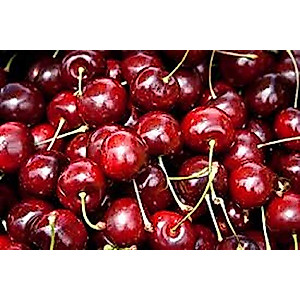 Harry & David Single Serve Coffee (Chocolate Cherry Decadence, 100 Count)