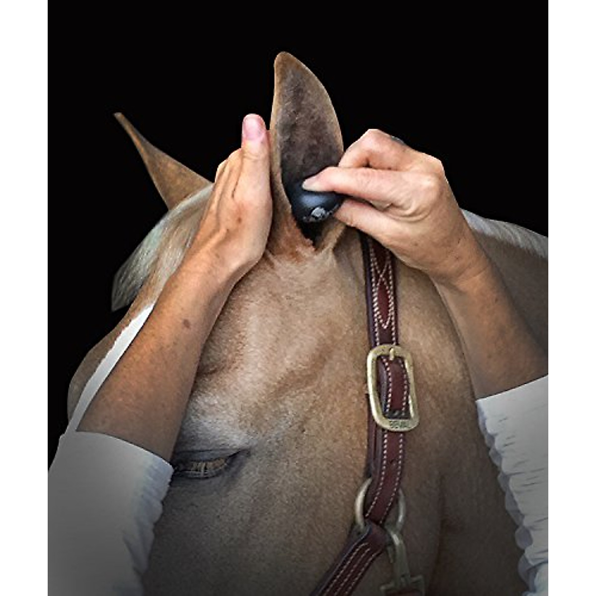 Plughz Horse Ear Plugs, Pony Size, Black, Smooth 2 Boxes 4 Pairs