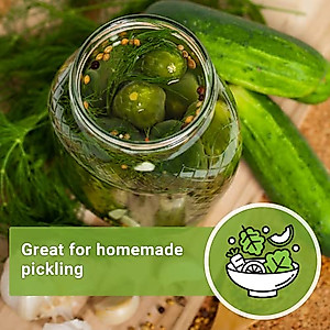 Sow Right Seeds - Dill Seed for Planting - All Non-GMO Heirloom Dill Seeds with Full Instructions for Easy Planting and Growing Your Kitchen Herb Garden, Indoor or Outdoor; Great Gift