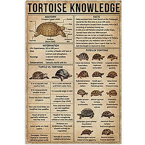 Starotore Anatomy Of A Carapace Canvas Print Painting Tortoise Knowledge Posters Frameless Wall Art Animal Pictures Vintage Wall Decor For Bedroom Bathroom Garden Home Aquarium Decor 24x36inch
