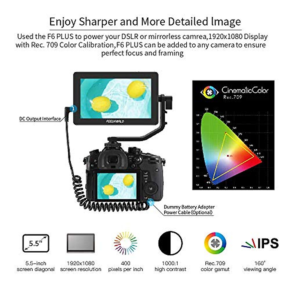 FEELWORLD F6 Plus 5.5 Inch Touch Screen DSLR Camera Field Monitor with 3D Lut Small Full HD 1920x1080 IPS Screen Suppor 4K HDMI Include Tilt Arm +Battery + Charger…