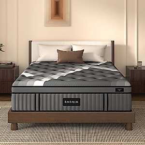 Queen Mattress,Lechepus 14Inch Soft Memory Foam Hybrid Mattress in box,Plush Feel Queen Size Mattress with Supportive Pocket Coil for Back Pain Relief,Motion Isolation, None of Fiberglass
