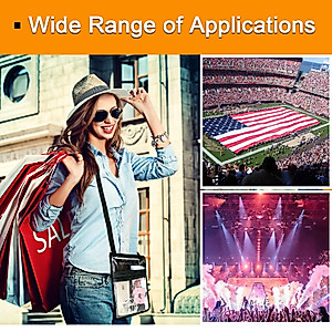 BeeGreen Black Clear Bag Stadium Approved Small Clear Purse with Extra Pocket for Women & Men,Clear Crossbody Purse for Concert, Sporting Events,Clear Messenger Bag w Long Strap for College Gift