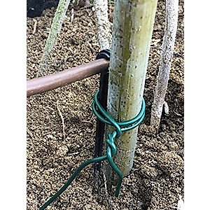 Sweet Online Deal 2.0mm Plant Cages Garden Twist Tie Bonsai Training Wire Twist 50 Feet