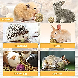 Nuanchu 22 Pieces Flowers Timothy Hay Balls Bunny Chew Balls 3 Flavors Chew Toys Chew Treats Timothy Molar Ball for Bunny, Chinchillas Gerbils, Hamster Guinea Pig and Other Small Animals Teeth Care