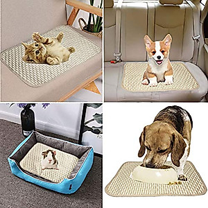 kathson Guinea Pig Cage Liner, 4 Pack Bedding Pads Washable Absorbent Reusable Waterproof Mats for Guinea Pig Rabbit Bunny Hamster Cat Puppy Small Animals