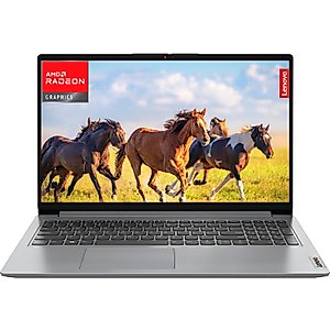 Lenovo IdeaPad 1 Laptop for Business and Student, 15.6" HD Anti-Glare Display, AMD Dual-core Processor Up to 3.5 GHz, 4GB RAM, 384GB Storage(128GB SSD+256GB MSD), AMD Radeon Graphics, WiFi 6, Win 11 S