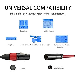 JOMLEY Mini XLR to XLR Cable,XLR Female to Mini XLR Male Microphone Audio Cable for Blackmagic Pocket 4K Camera Video Assist 4K - 1ft