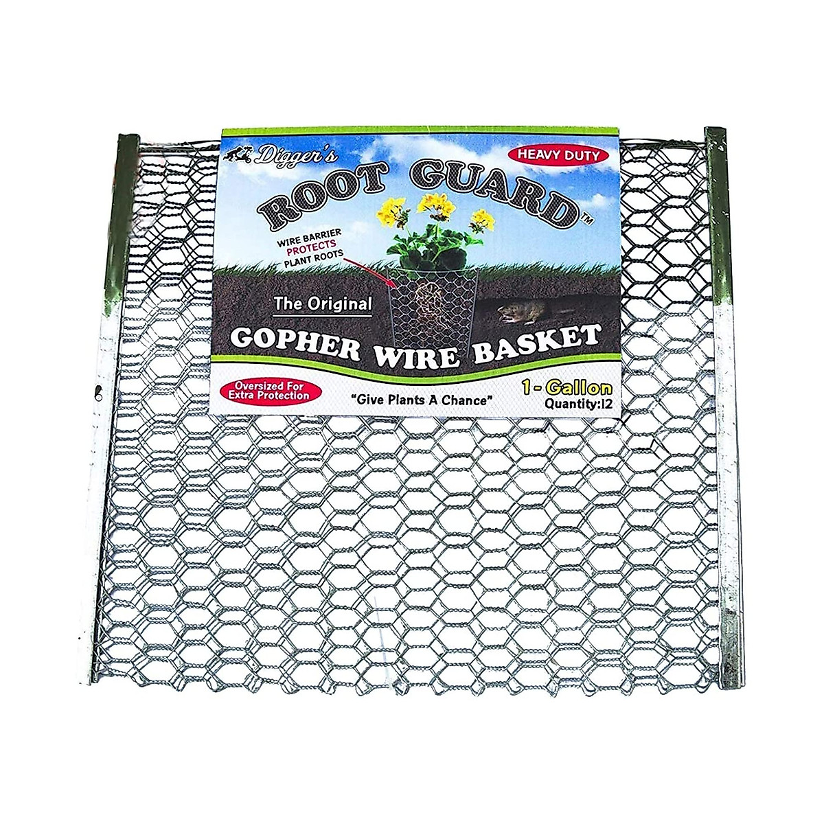 Digger’s 1-Gallon Heavy-Duty Wire Basket - Gopher Wire Basket for Perennials & Vegetables (12 Baskets)