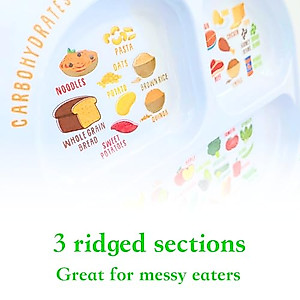 j&m Divided Portion Plate (4 Pack), Sections for Kids & Fussy Eaters, Learn Nutrition, Healthy Eating, Food Groups & Portion Sizes, Child-Friendly Melamine, Dishwasher-Safe