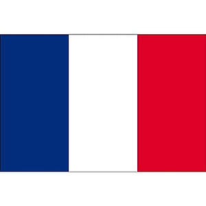 CafePress French Flag Mug Ceramic Coffee Mug, Tea Cup 11 oz