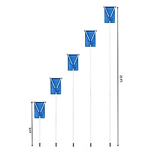 Rooftop Rake Snow Remover, Extendable, Lightweight, Aluminum Handle Extends Up to 21 Feet