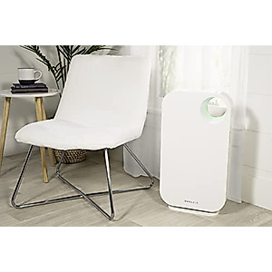 OVAL AIR AIR1000A 3-Stage H13 True HEPA 5-in-1 Air Purifier For Allergens,Dust,Pets,Allergies,Odor,Smoke,Pollen, Rooms up to 600 sq. ft., White, 13.8" X 7.5" X 25"