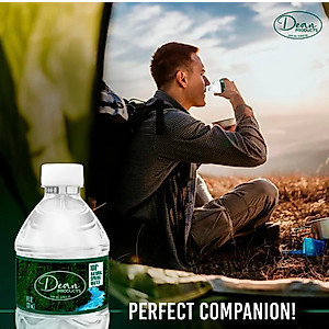 POLAND SPRING Brand 100% Natural Spring Water, 8-ounce mini plastic bottles - Pack of 24 (192 oz in total)