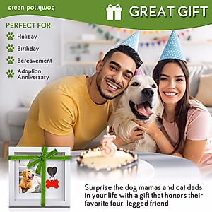 Green Pollywog Pet Memorial Shadowbox with Photo, Tag & Collar Display | White Frame with 4” x 6” Picture Opening | 10” x 10” x 2.5” Keepsake Box