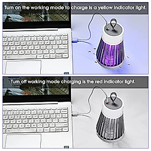 LEOFI Electric Bug Zapper for Indoors Outdoor Fly Zapper Mosquito Trap LED Fly Trap and Purple Light Portable Camp Mosquito Killer Up to 6 Hours of Battery Have Security Grid(Gray)