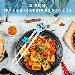 2 Pairs Training Chopsticks for Beginners, Learning Chopsticks Helper Cute Animal Training Chopsticks Practice Chopstick Trainer for Adults