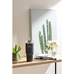 Stanley Adventure Quencher Travel Tumbler 30oz Coal