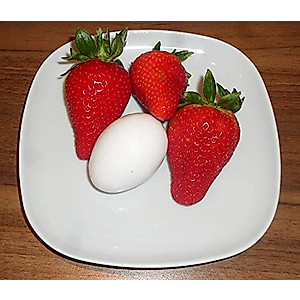 300pcs Giant Strawberry Seeds, Sweet Red Strawberry/Organic Garden Strawberry Fruit Seeds, for Home Garden Planting