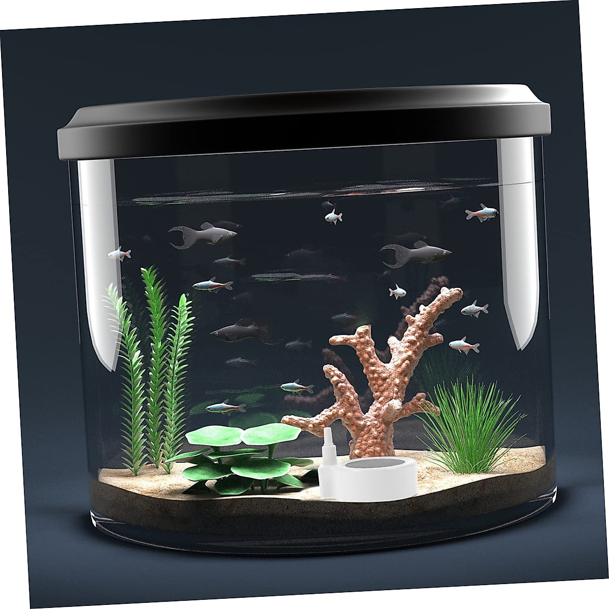 balacoo Nano Air Stone Aquarium Oxygen Aerator Bubble Diffuser Aquarium Accessories Co2 Regulator Round Air Wall Round Fish Tank Fish Tank Supply Aeration Pump Nano Material Hydroponics