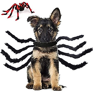 Chngeary Halloween Cats Dogs Costume - Dog Spider Costume,Festival Pet Accessories Dress up Furry Costume for Cat,Small and Medium Dog - Dressed as A Black Red Giant Spider…