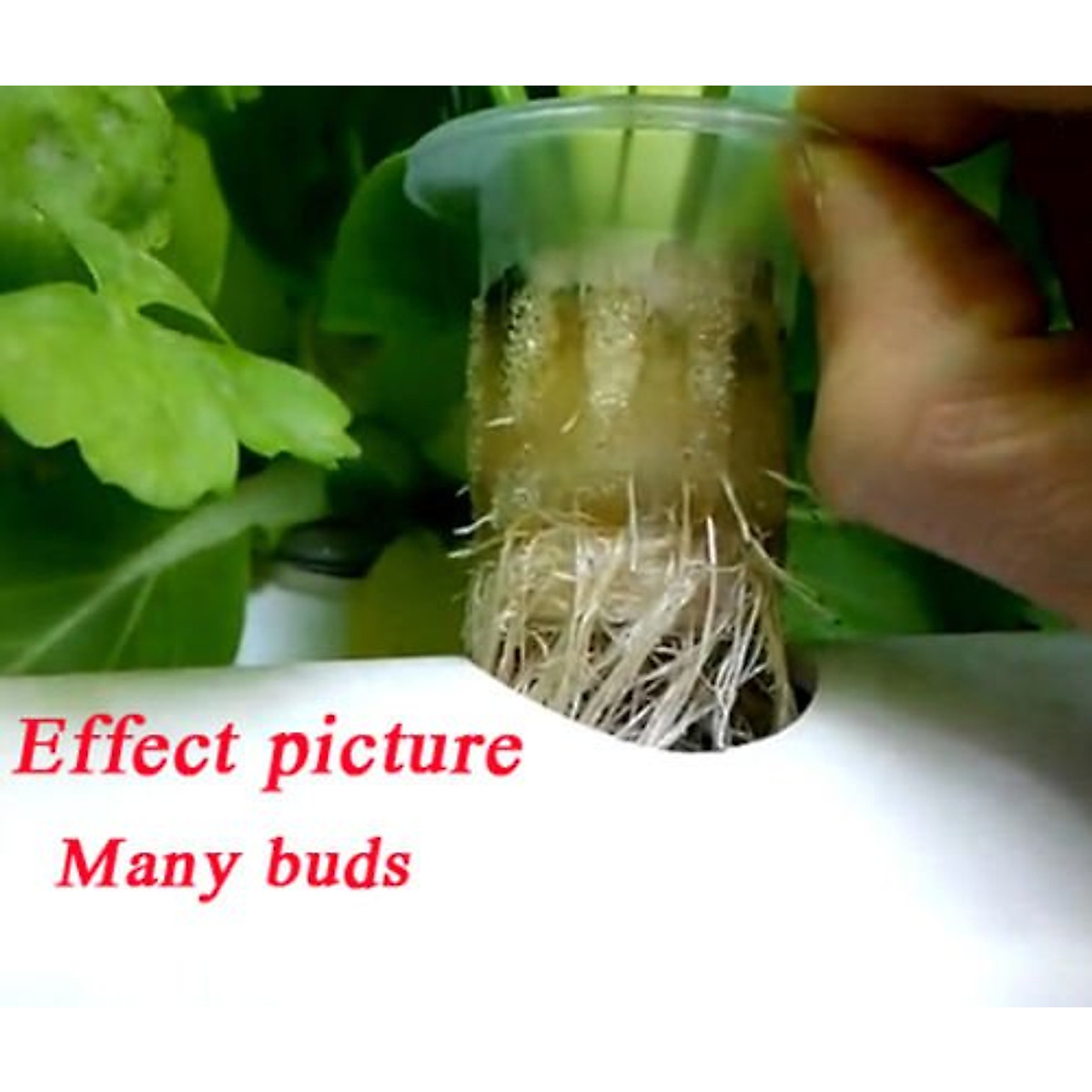 INTBUYING Wall-Mounted PVC Hydroponics Growing System 54 Plant Sites 6 Pipes Hydroponic Grow Kit Garden System Vegetable Tool with Pump