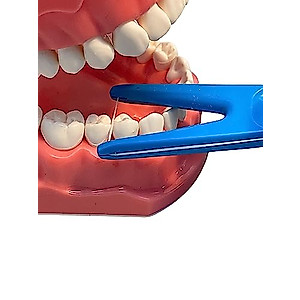 E-Z Floss Dental Floss Holder (Blue, Yellow, Green)