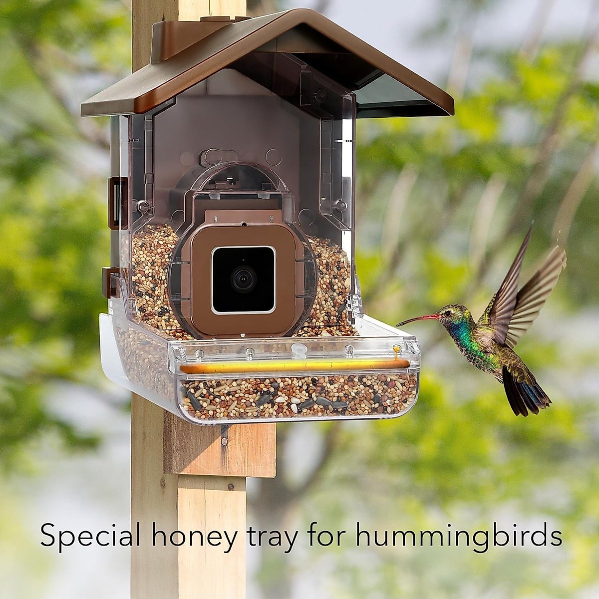 Wasserstein Bird Feeder Camera Case Compatible with Blink, Wyze, and Ring Camera for Bird Watching with Your Security Cam - (Camera NOT Included)