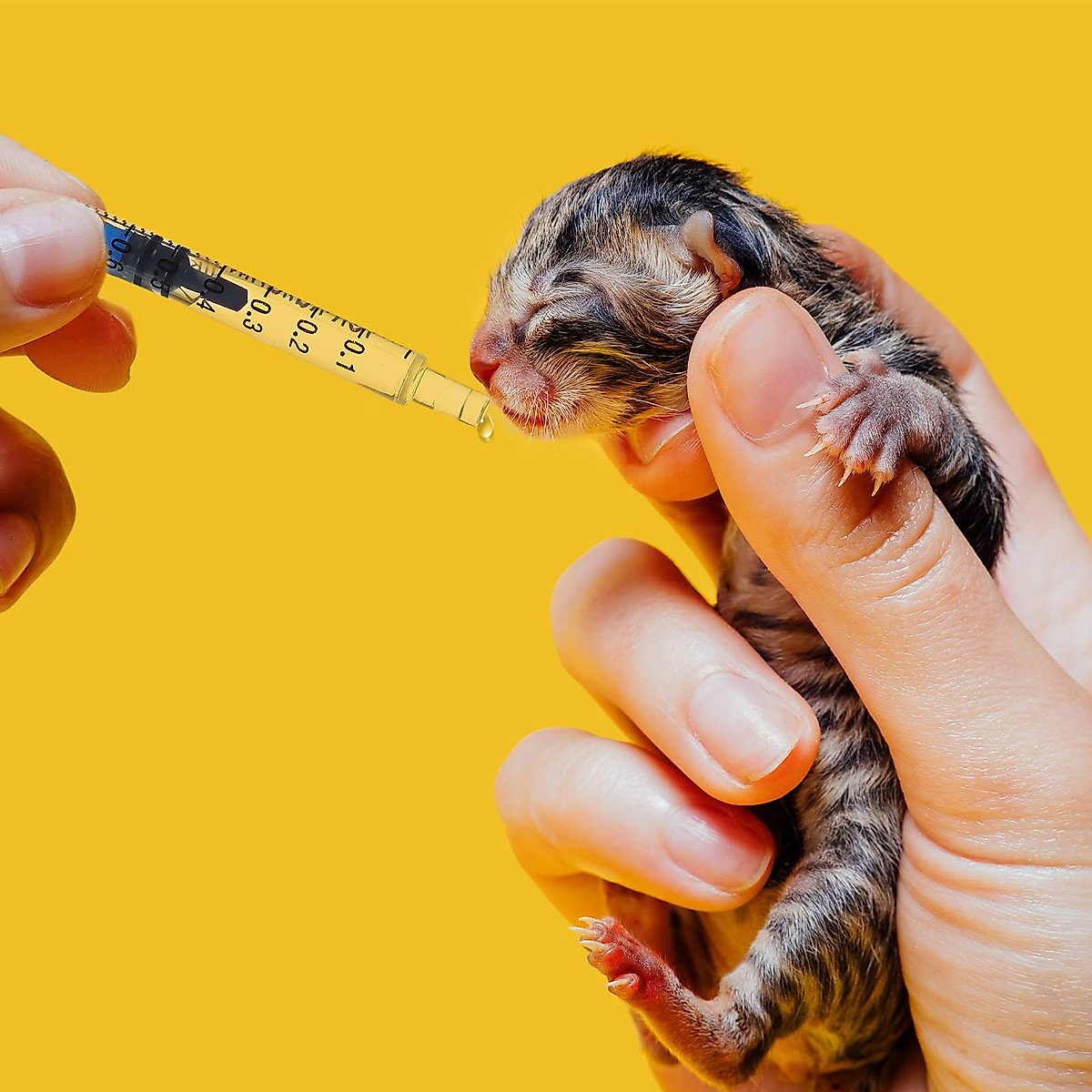 Nuanchu 15 Pieces 1 ml Plastic Syringes with Measurement Multiple Uses Tools for Measuring Liquids, Watering, Feeding Pets, Oil or Glue Applicator