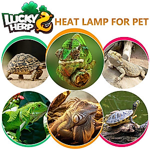LUCKY HERP 80 Watt UVA+UVB Vapor Heat Lamp Bulb, High Intensity Self-Ballasted Heat Basking Lamp/Bulb/Light for Reptile and Amphibian, Sun Lamp for Bearded Dragon Lizard Turtle