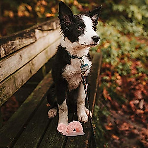 pet Teething Toys Dog Teeth Cleaning Toy Puzzle Toys Puppies Toys Dog Molar Toy Puppy Dog Toothbrush Toy Dog Dental Care Toy Dog Teeth Grinding Toy Missing Food TPR Indestructible