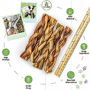 Nature Gnaws Braided Bully Sticks for Dogs - Premium Natural Beef Dental Bones - Long Lasting Dog Chew Treats for Aggressive Chewers - Rawhide Free 10 Count (Pack of 1)