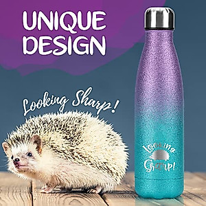 Onebttl Hedgehog Gifts for Women, Girls, Looking Sharp Water Bottle for Hedgehog Lover, 17 oz (500ml) Insulated Stainless Steel Bottle, Hedgehog Gifts for Girls, Gift Box Included