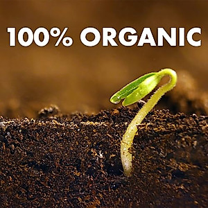 SuperMoss 01999 Agromin Organic Recycled Green Material Potting Mix, 4 Quart, Natural