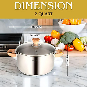 Daniks Oslo Stainless Steel Stock Pot with Glass Lid | Induction 2 Quart | Dishwasher Safe Pot | Heatproof Handles | Soup Pasta Stew Pot | Silver