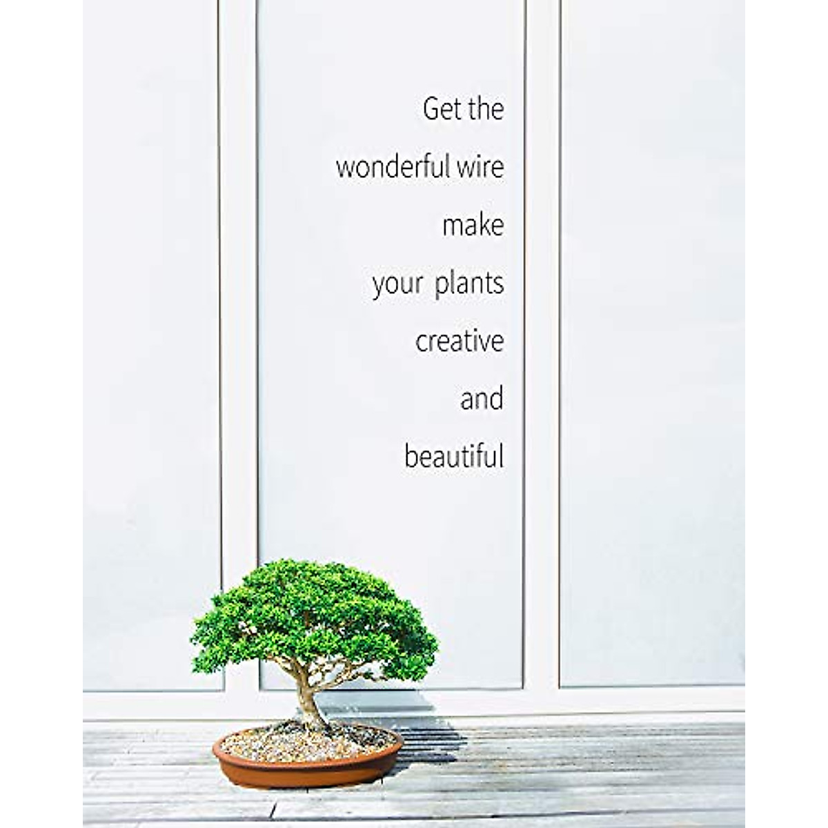 MoHern Bonsai Wire, 6 Sizes of 1mm, 1.5mm, 2mm, 2.5mm, 3mm, 4mm Black Aluminum Wire, Total 152 Feet Bonsai Tool Kit, 300 Grams Bonsai Tree Wire for Bonzai Trees Indoor