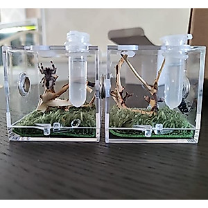 AWXZOM Spider Terrarium, Acrylic Reptile Breeding Box Jumping Spider Enclosure with Dropper Tongs Snail cage, Cricket Enclosure arboreal Tarantula Habitat